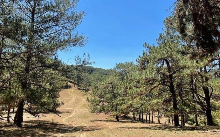 Hồ Dankia - Hồ Suối Vàng Cực Đẹp tại Đà Lạt | CulaoCham Tourist