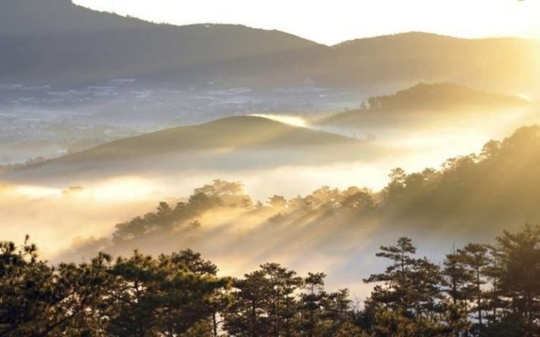 Hồ Dankia - Hồ Suối Vàng Cực Đẹp tại Đà Lạt | CulaoCham Tourist